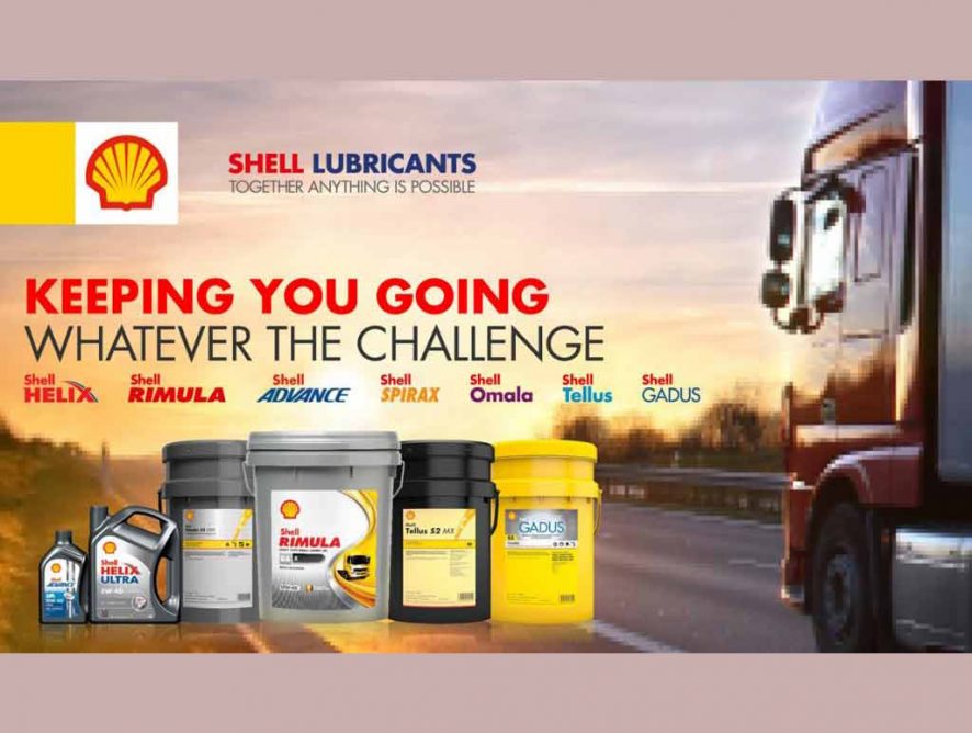 Grid 4 Columns – Northern Star